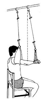 The Sciences Of Human Movements,Go Kinesiology!: SUSPENSION THERAPY