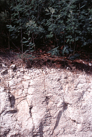 Suelos en geografía