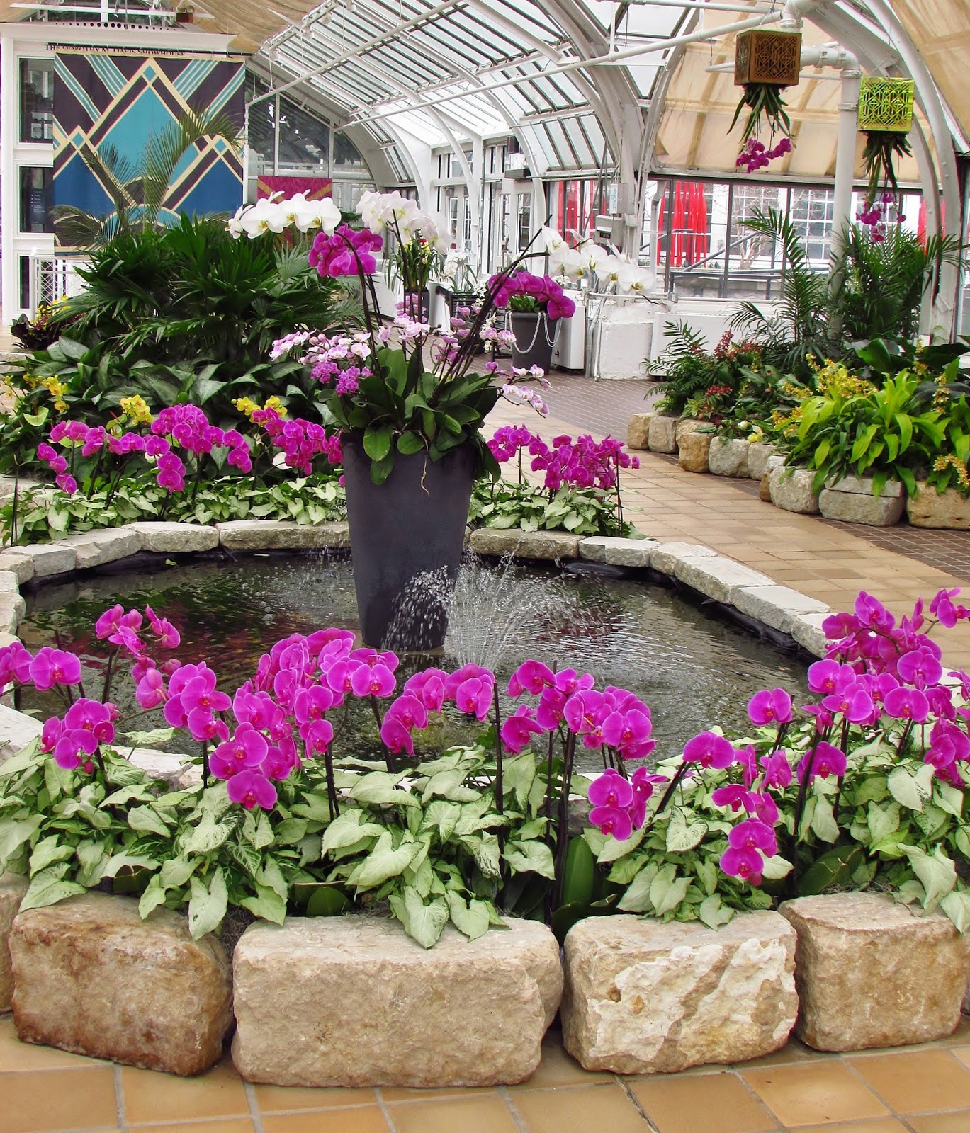 Life In Robin's Nest: A Gray Day Shot Through With Color