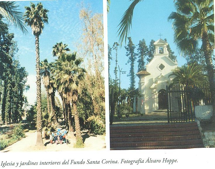 Relato Mitico : El Culebron: Leyenda "El Culebron"