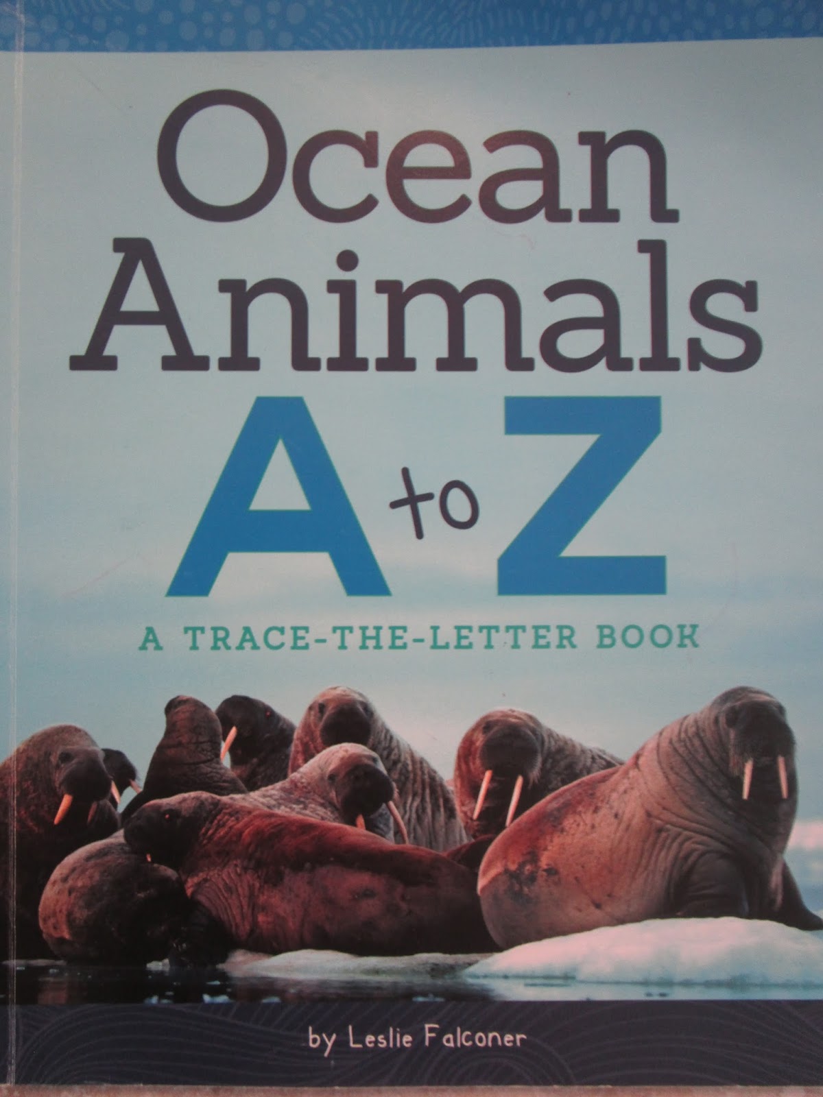 Caroline Brooke, Author, Illustrator and Photographer: Mother Goose ...