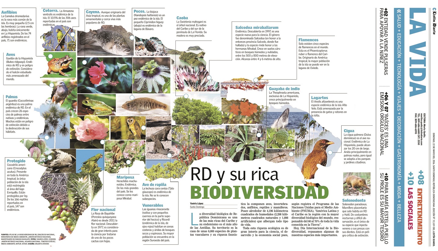 Ningún lugar está lejos... en RD: mayo 2016