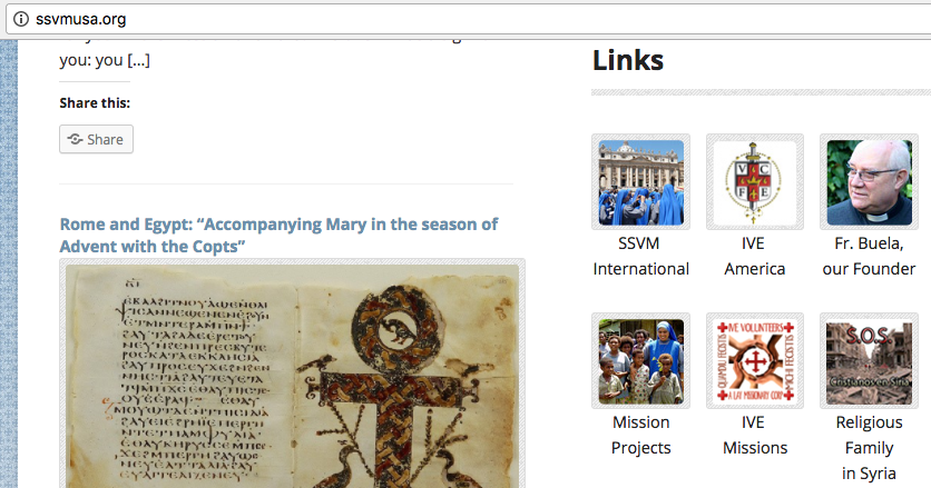 Concerns about the Institute of the Incarnate Word (IVE): 2016