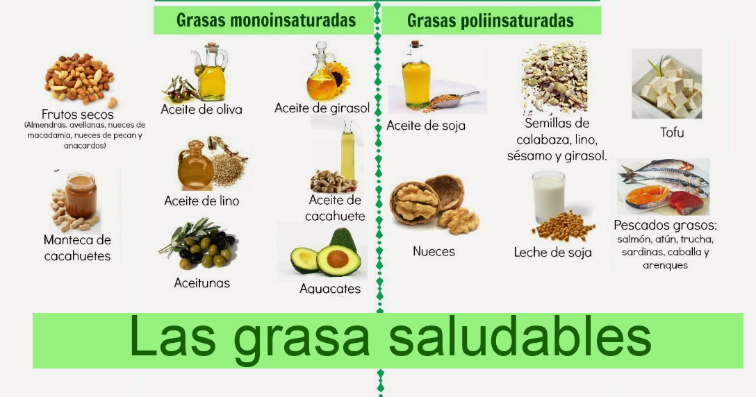 ¿Qué tipo de Grasas Alimenticias son Claves para estar Saludable?