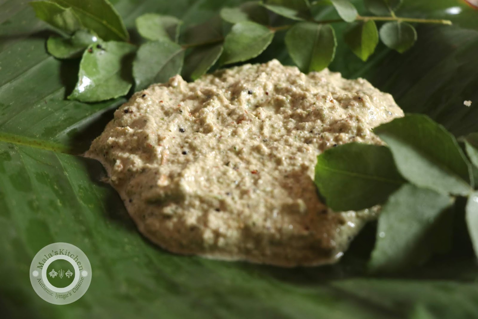 Shenga Chutney / Kadalekai Chutney (Peanut Chutney) - Malas-Kitchen