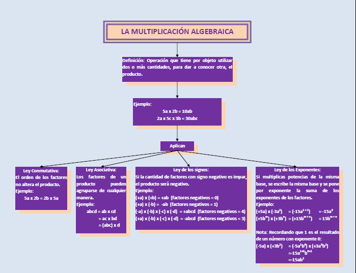 Matematicas para Todos: Multiplicación Algebraica: Generalidades