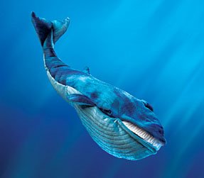 Ikan Paus Raksasa - M Agus Daniawan