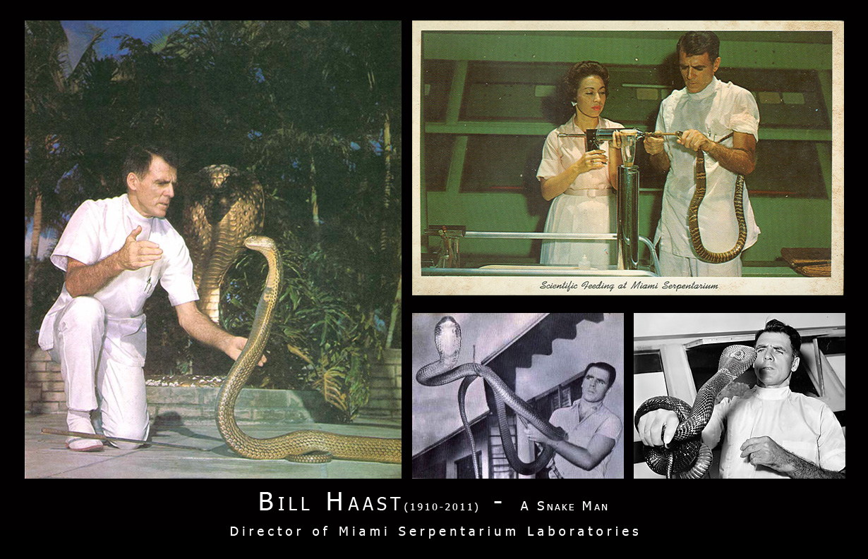 World History: Bill Haast - A Snake Man