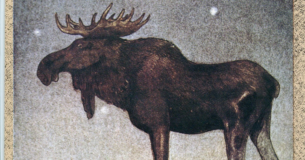 The Postal Picture: Mythical Moose