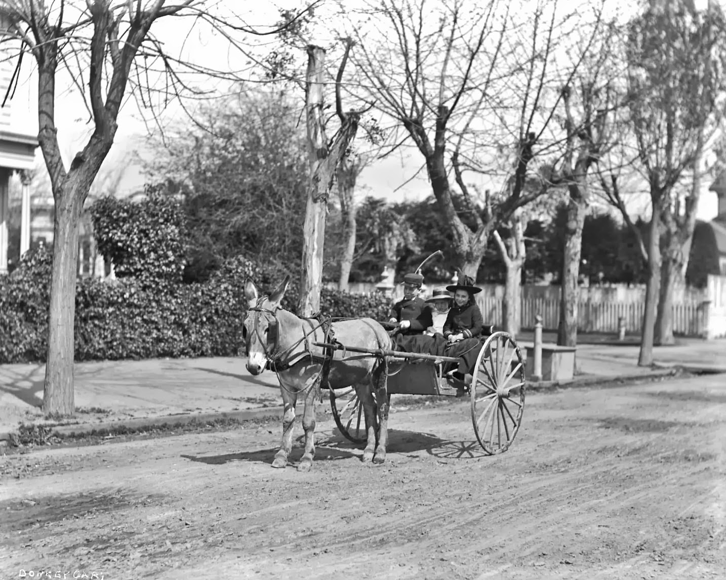 History in Photos: William Letts Oliver