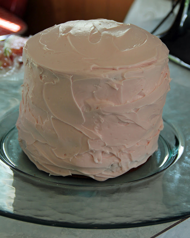 Jo And Sue Pink Lemonade Ombre Cake With Pink Lemonade Cream Cheese Frosting