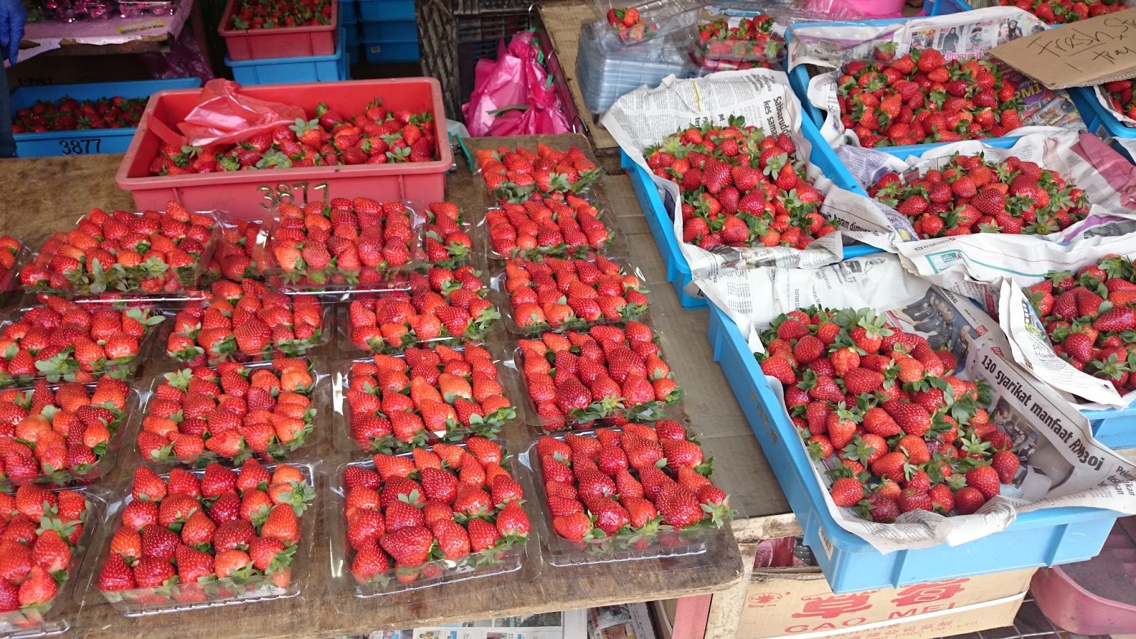 Today BAHAGIA: Beli sayur di Kea Farm, Cameron Highland.