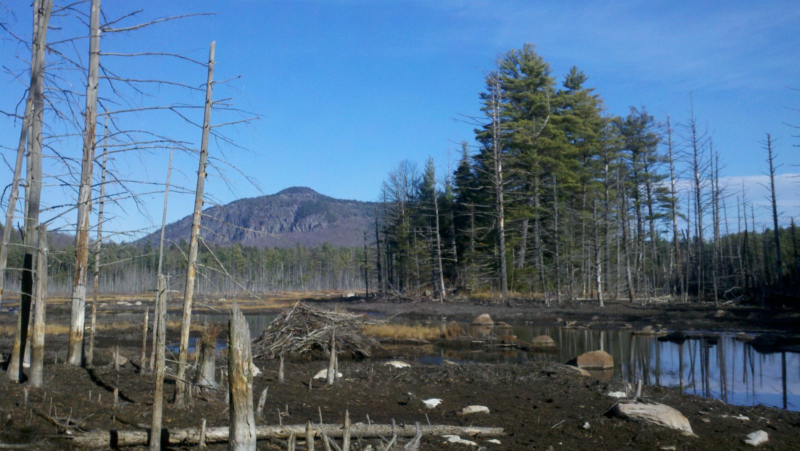 Off on Adventure: Pharaoh Lake - 11/19/11