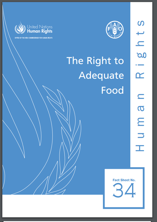 De Lege Agraria Nova: “The Right to Adequate Food”. United Nations-FAO ...