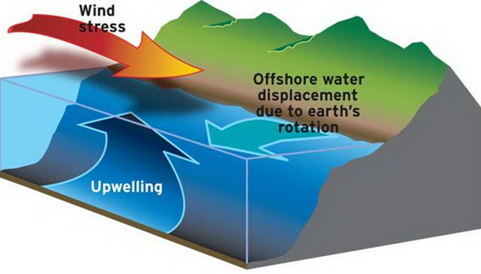 Fenomena `Upwelling` Bermunculan di Pulau Bali dan Nusa Tenggara ...
