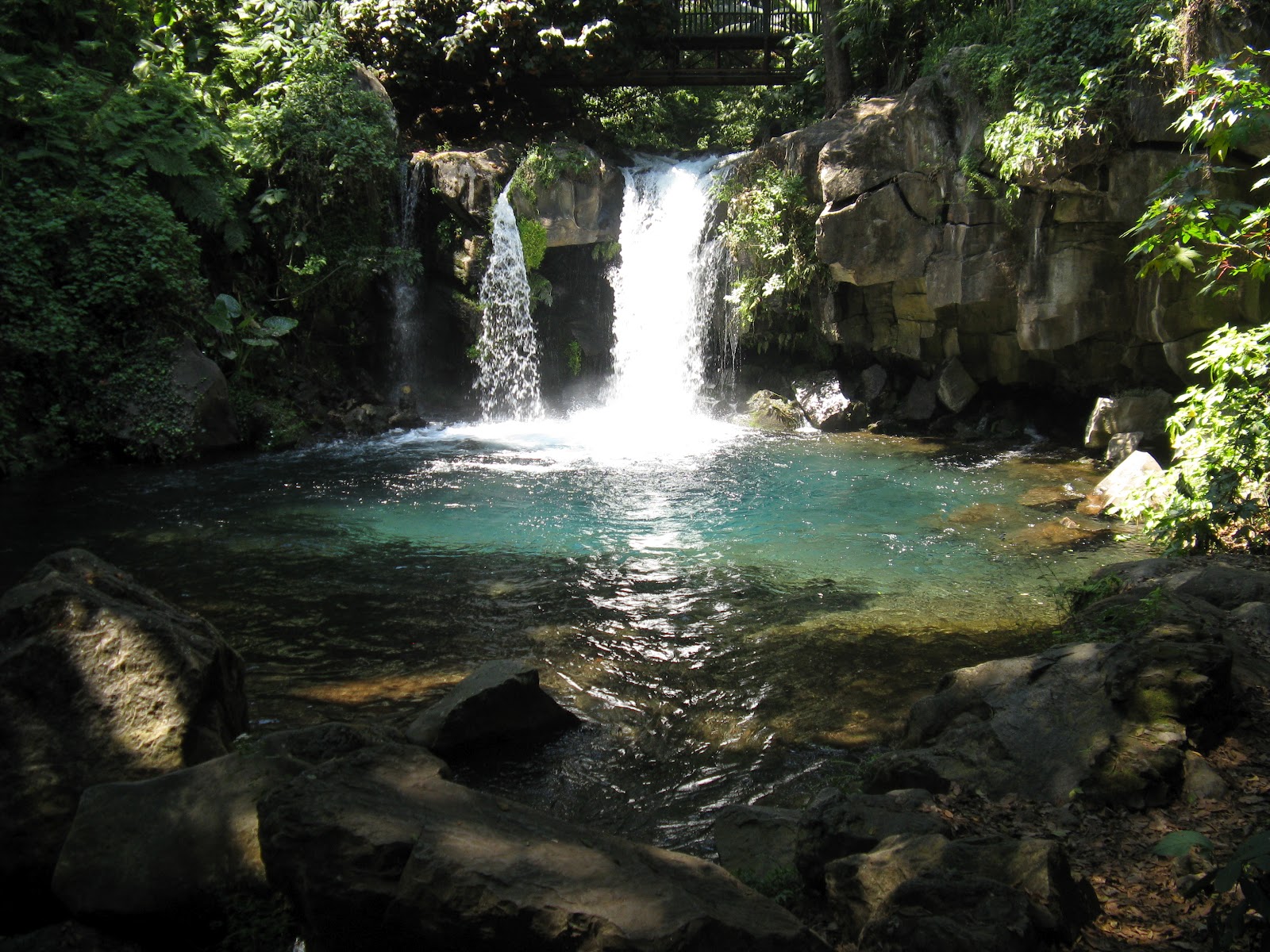 Vagrant Van in Mexico: Uruapan national park