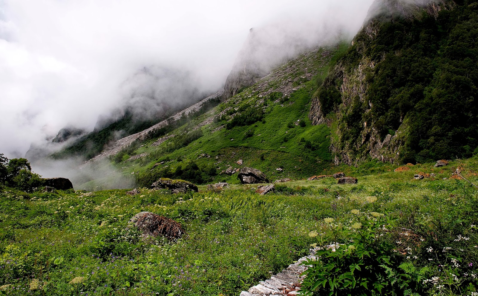 wildeagle: valley of flowers phoolonki ghati.... part 1