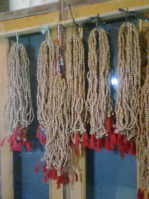 Informasi biji Ganitri / Rudraksha / Jenistri