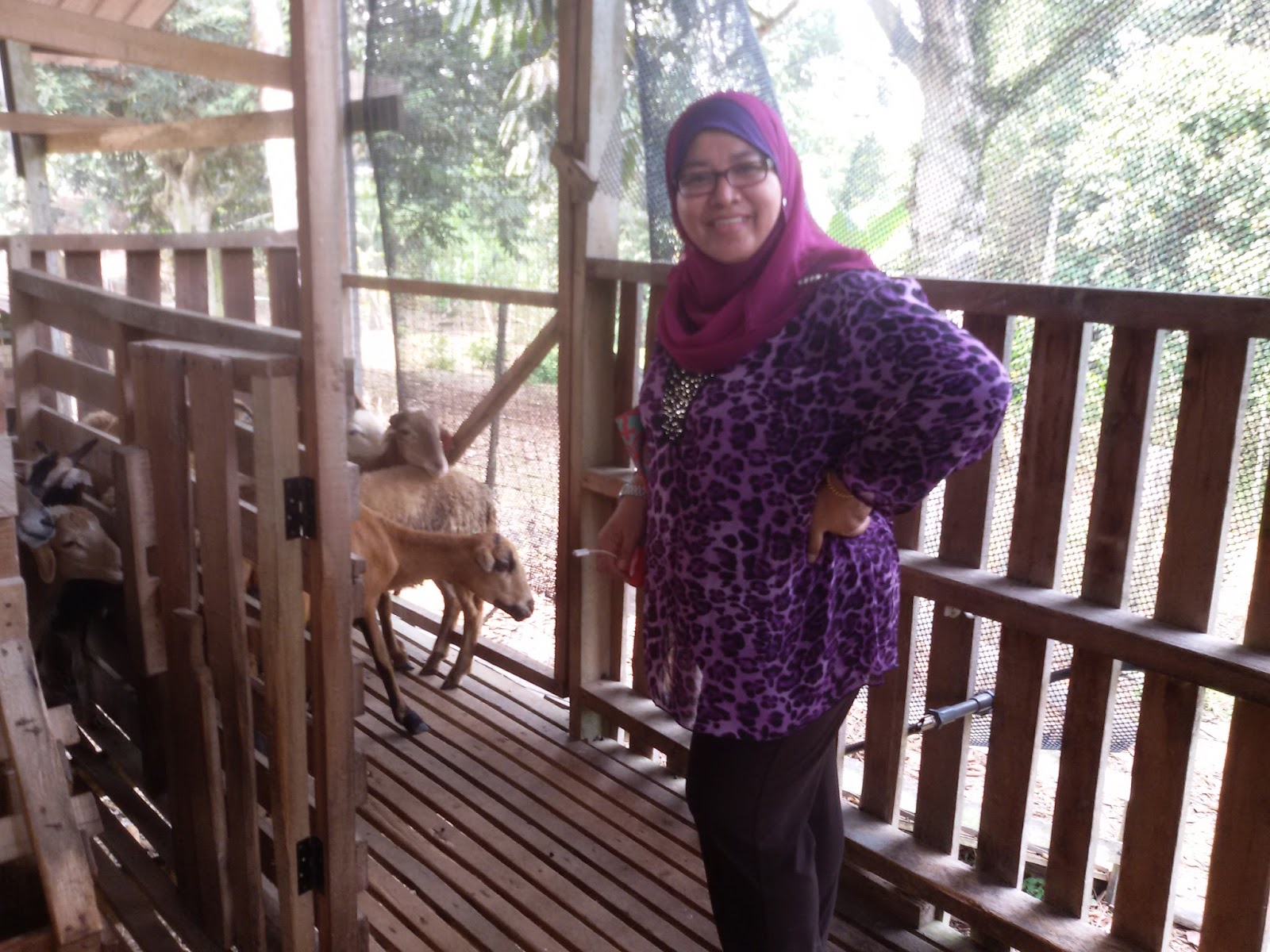 ...yang ingin kukongsi...: Sri Aman 4D3N: kambing comel itu...