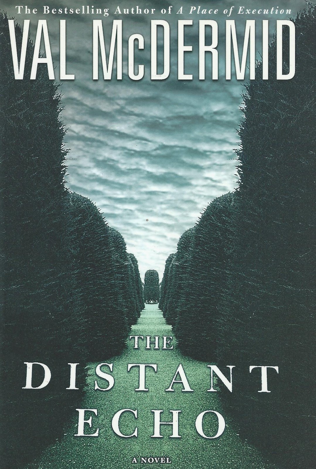 Bitter Tea and Mystery: The Distant Echo: Val McDermid