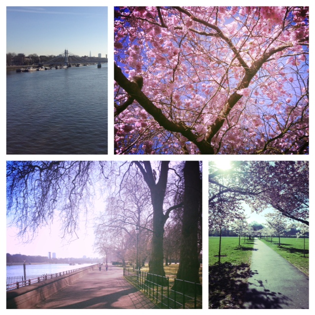 Pots Hops Around the World