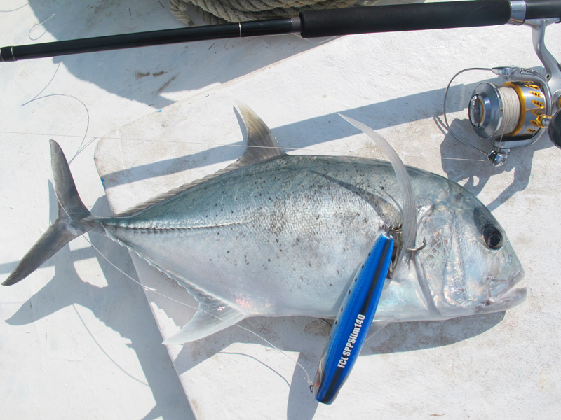 Tackle Source: MALDIVES - A FRESH PERSPECTIVE