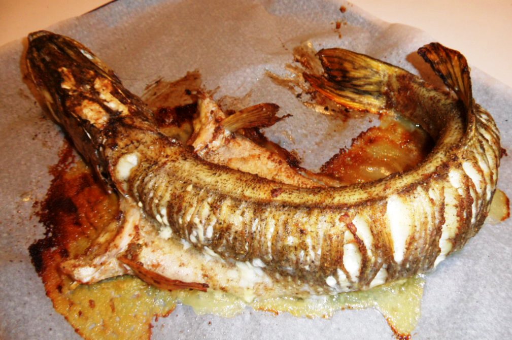 SZERETEK FŐZNI(2): Sült csuka - irdalva, vagy irdalás nélkül?