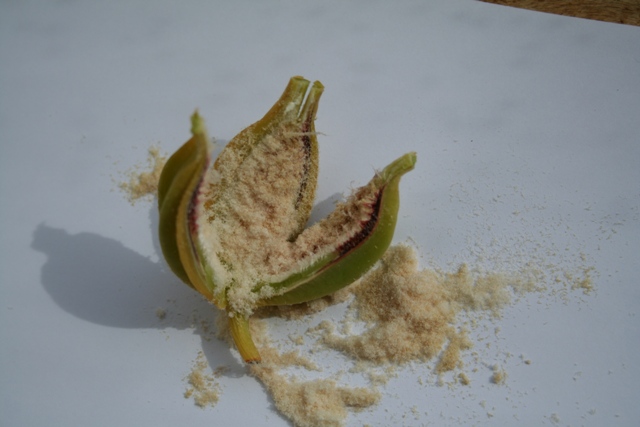 faisal ap: How to Make a Beautiful?