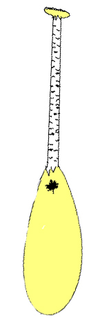 Up The Creek...: Cedar- Beavertail ... Birch Bark (Part 2)