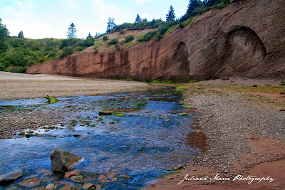 Juliana Marie Photography: Up North