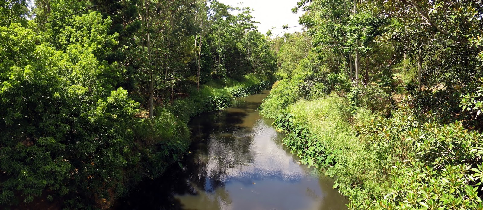 Suburb Guide: Annerley