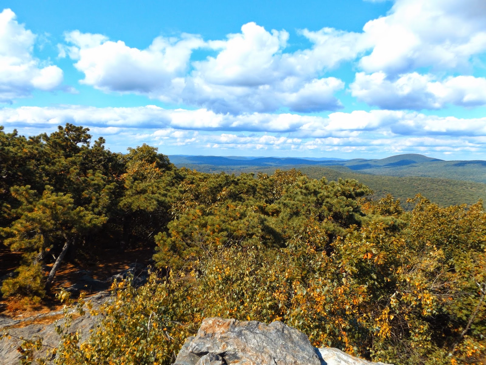 Walking Man 24 7: Sages Ravine/ Bear Mountain(South Taconics)