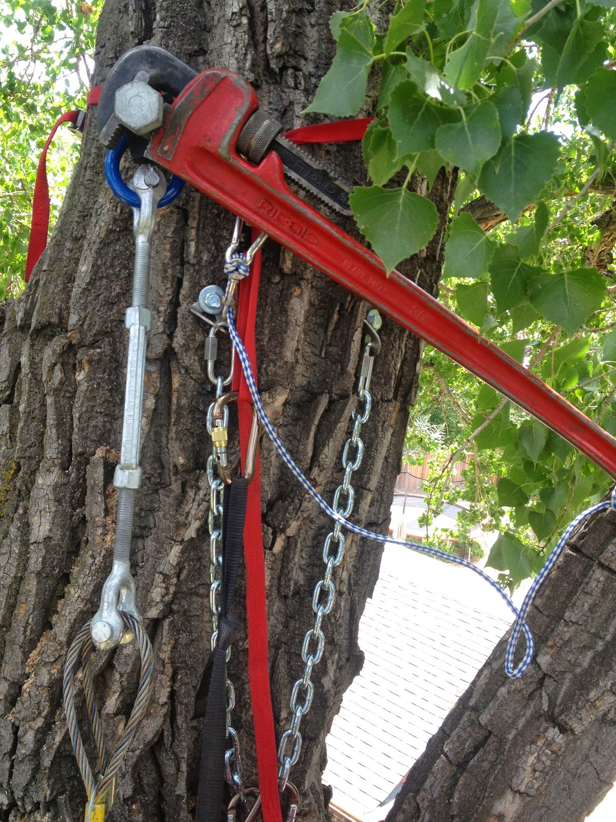 The Treehouser: Part 8: The Most Important Treehouse Design Feature