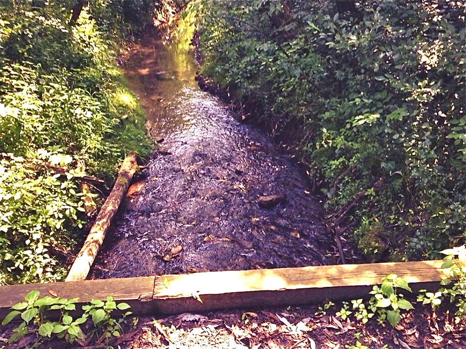 Creeks to Peaks: Afton State Park: Minnesota/Wisconsin Border