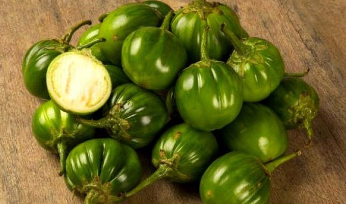 QUANDO FALA O CORAÇÃO: Jiló e seus benefícios