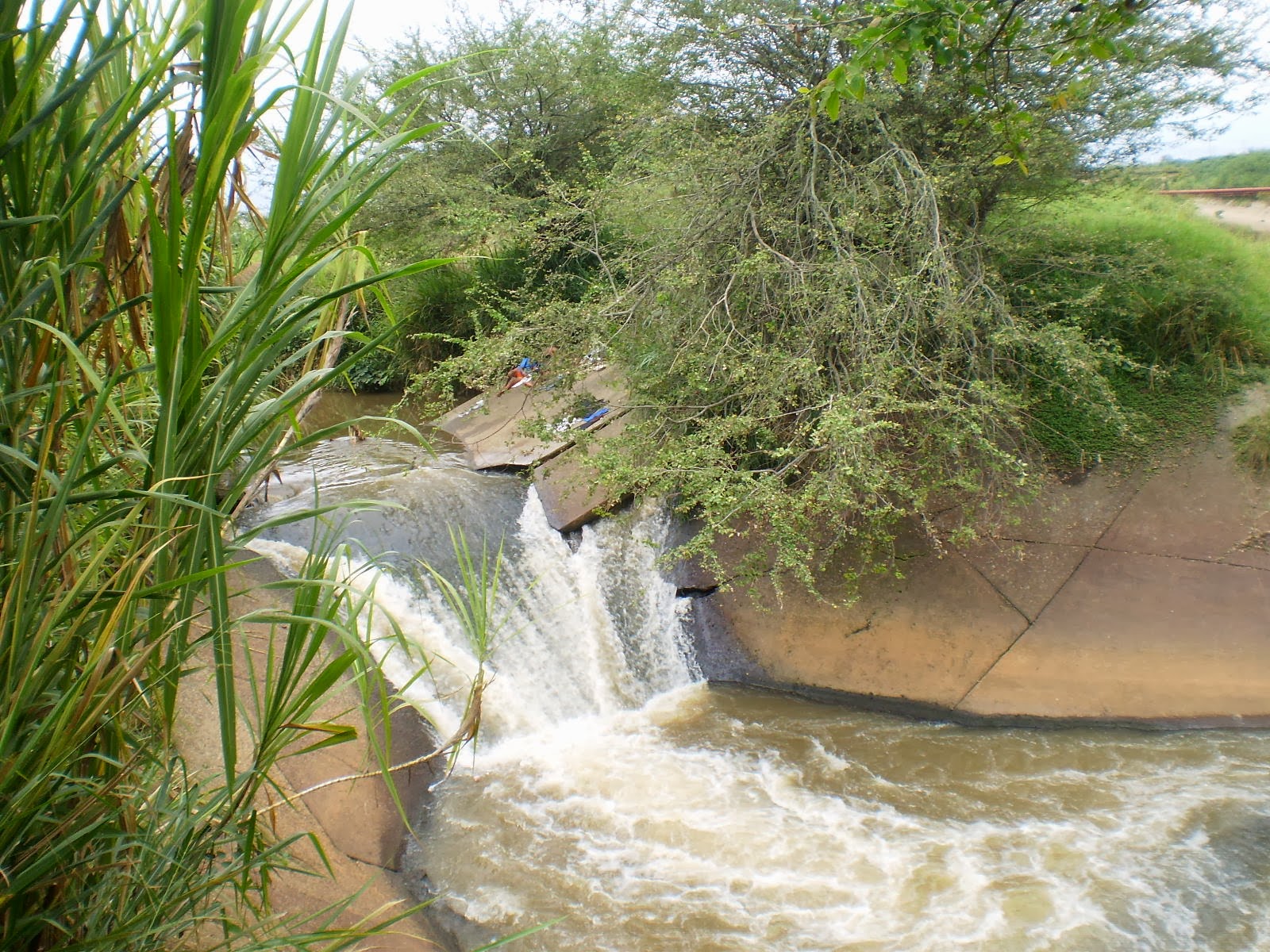 UN PASEO POR EL RIO LILI: RECORRIDO POR EL RIO LILI
