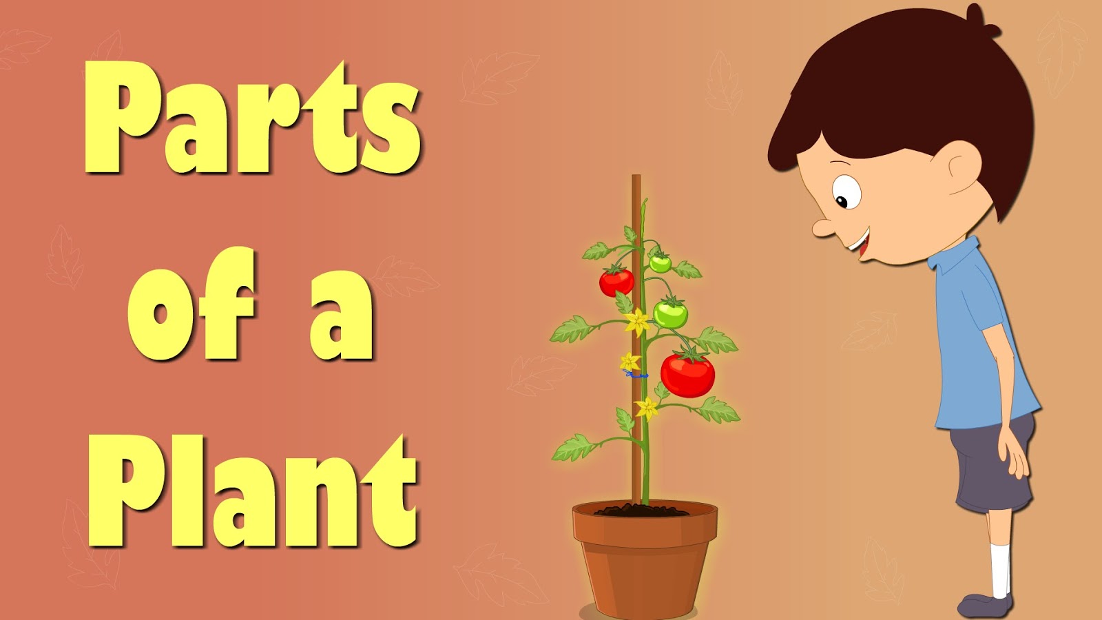 Maths Teachers Part Of Plant maths-teachers-part-of-plant