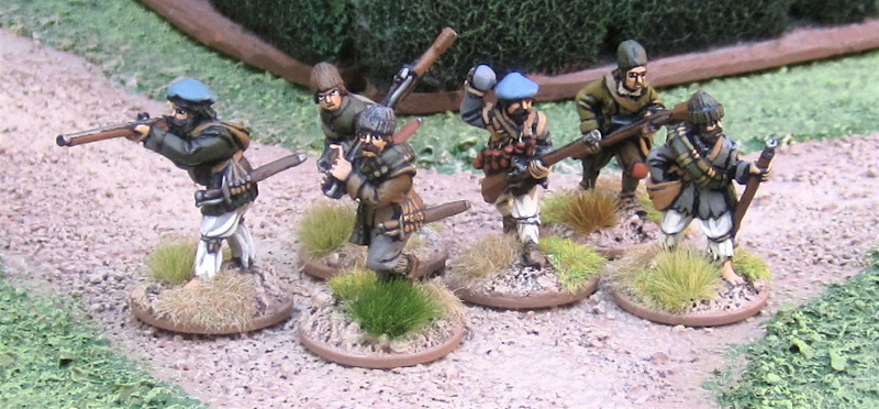 Tim's Miniature Wargaming Blog: Montrose’s Irish Shot