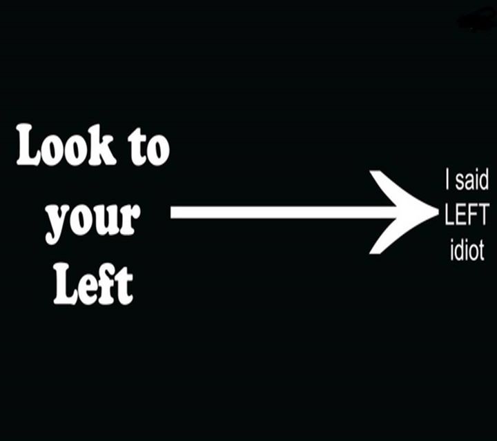 Look to Your Left I Said Left Idiot