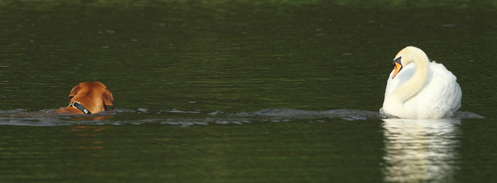 Out and About with David Cookson