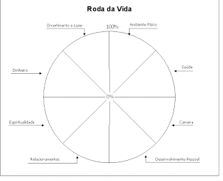 sandra: Meta 15 - Organizar a “minha roda da vida” - Parte 1