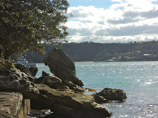 beachcomber: beachcombing