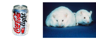 Pasitos al aprendizaje: junio 2013