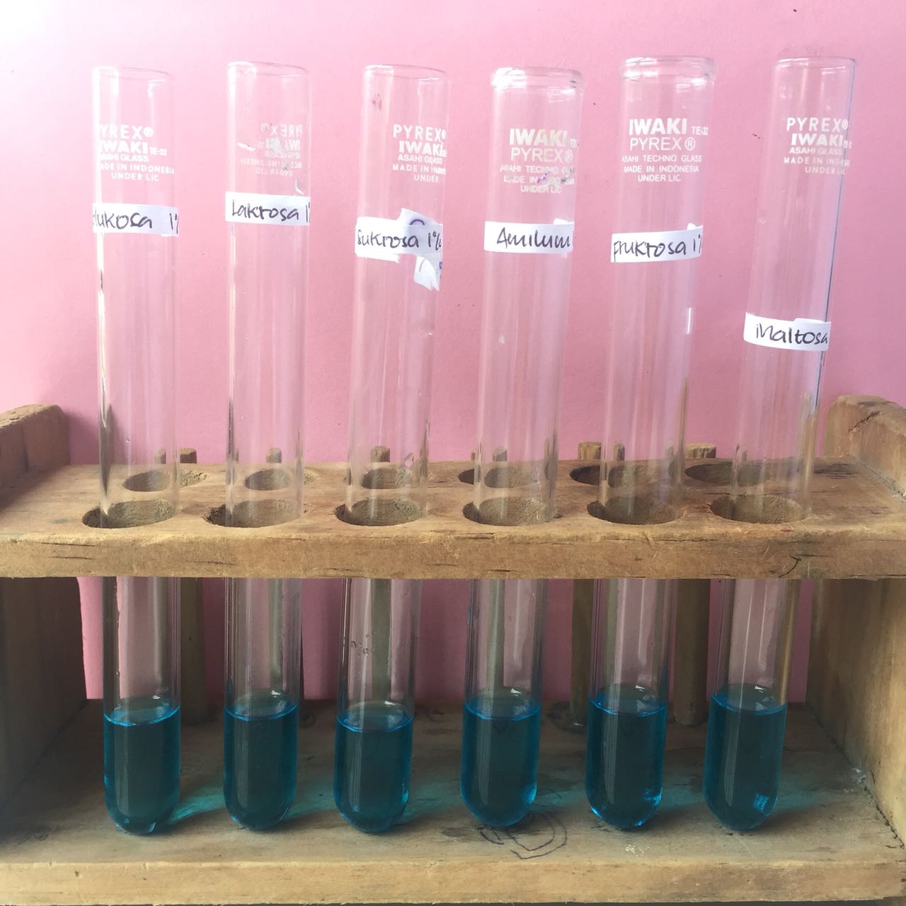 Pendidikan/ Kesehatan: LAPORAN PRAKTIKUM UJI BENEDICT BIOKIMIA