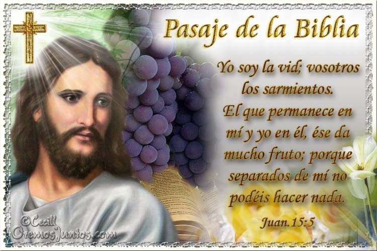 Vidas Santas: Santo Evangelio según san Juan 15:5