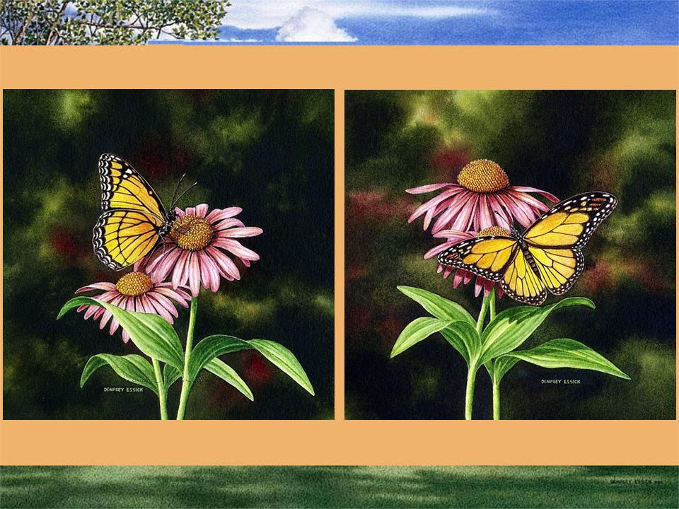 Soloillustratori: Dempsey Essick