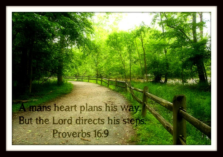 He Will Direct Your Steps | Whispers to the Heart