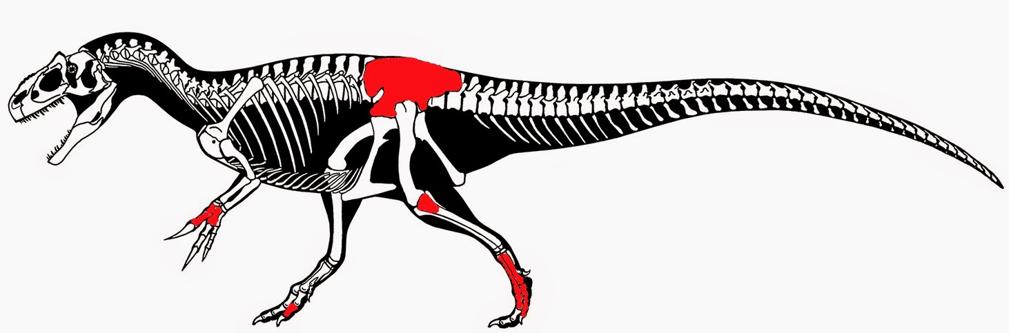DINOSAURIOS gigantes de chile: Dinosaurios y otros gigantes del ...