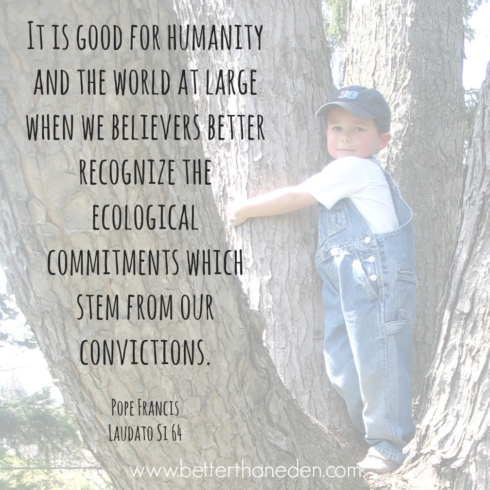 The Quotes I'm Loving From Laudato Si - Mary Haseltine