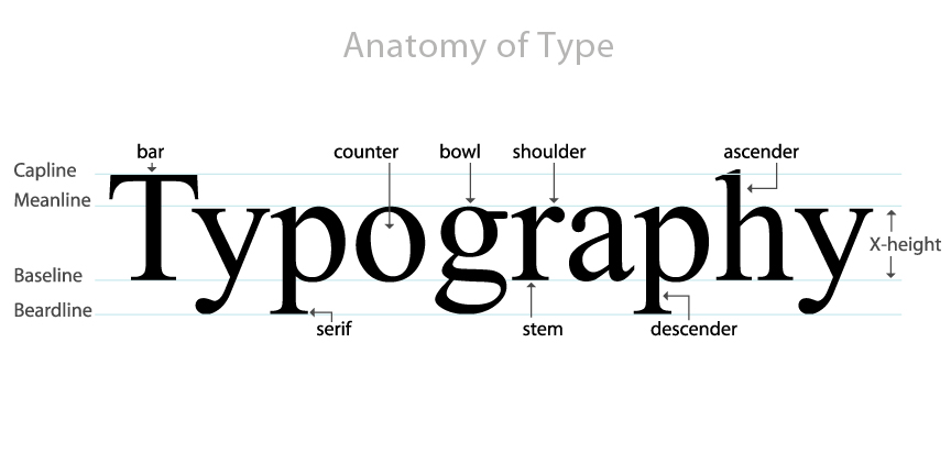 Xapsis: Tittles, Tails, and Beardlines...The Anatomy of Type